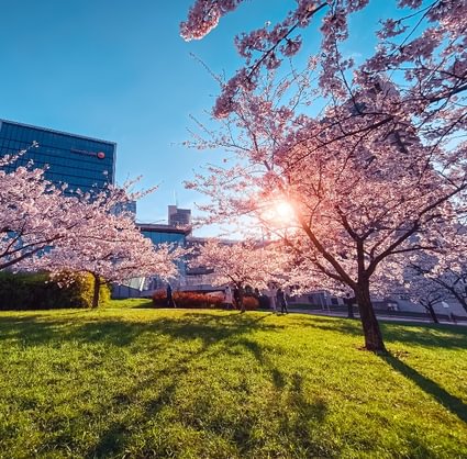 Go Vilnius | The Official Website for Tourism & Business